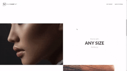 Responsive Parallax Adobe Muse effects are finally here! | MuseShop.net